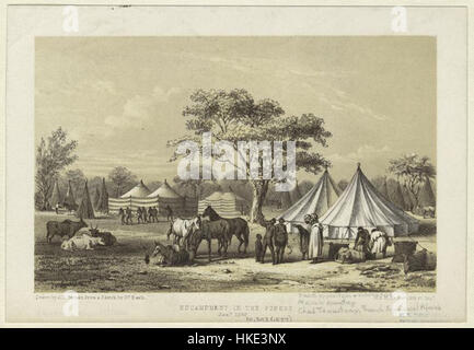 Encampment in the Forest (Chad Stock Photo - Alamy