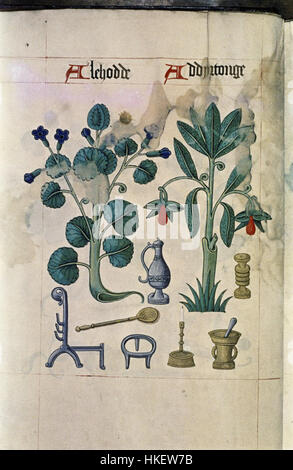 The 'Tudor Pattern Book' manuscript, Ashmole 1504, is a historical ...