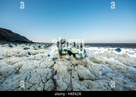 Large flint nodule on chalk beach Stock Photo - Alamy