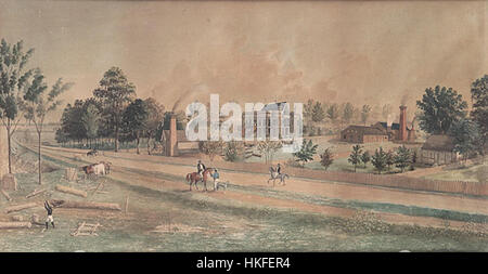 ‘Star Plantation’ by Persac, created in 1861, captures the beauty and ...