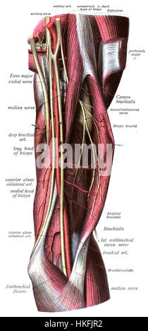 Sobo's 1909 artwork captures a significant moment in early 20th-century ...
