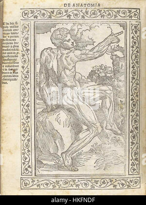 This scientific illustration provides detailed views of the skull base ...