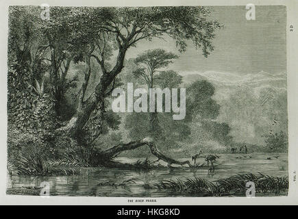 The River Phasis Ainsworth William Francis 1870 Stock Photo - Alamy