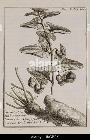 Joseph Pitton de Tournefort’s 1717 work illustrates the pieces of ...