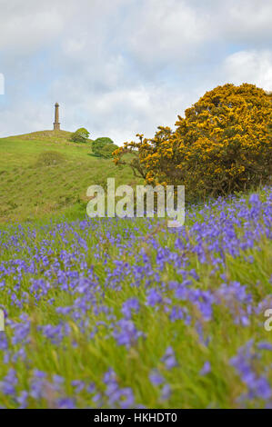 Rodney's Pillar, Breidden Hills, on the Shropshire-Powys border, UK ...