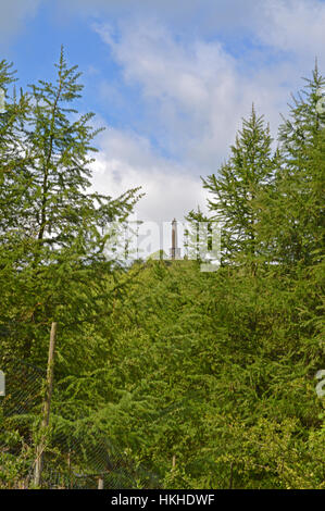 Admiral Rodney's Pillar Breidden Hill in Powys, Wales Stock Photo - Alamy