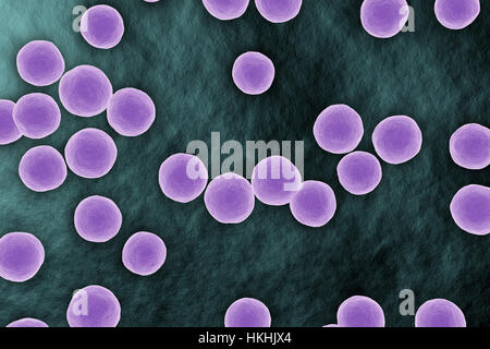 Microscopic view of staphylococcus Stock Photo - Alamy