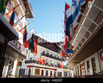 SOCHI, RUSSIA - JANUARY 23, 2017: Street with flags of the world and ...