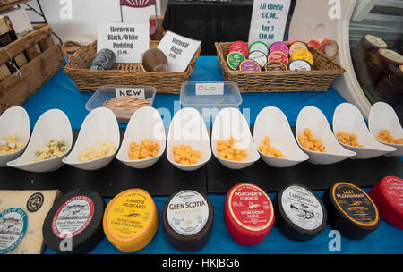 Variety of cheeses on display in cheese room of farm shop, Suffolk ...