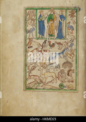 The story of Adam and Eve: The Creation of Adam; Adam Naming the ...