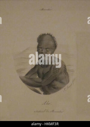 Aho, native of Maui by Jacques Arago Stock Photo - Alamy