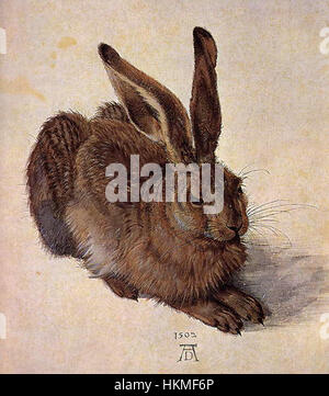 Albrecht Dürer's 'Young Hare' is a detailed watercolor and gouache ...