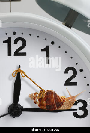 Snail pulling clock, time management concept Stock Photo - Alamy