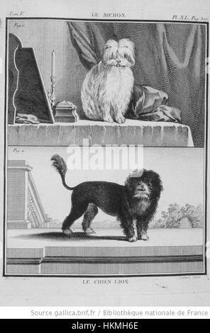 This illustration from Buffon’s *Histoire Naturelle* features a *Chien ...