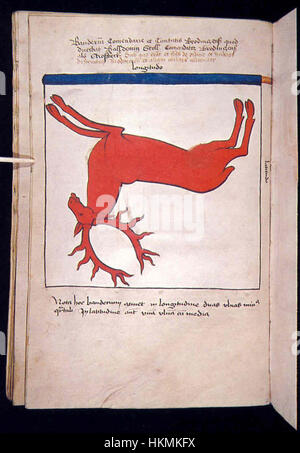 *Banderia Prutenorum* is a medieval manuscript depicting Polish flags ...