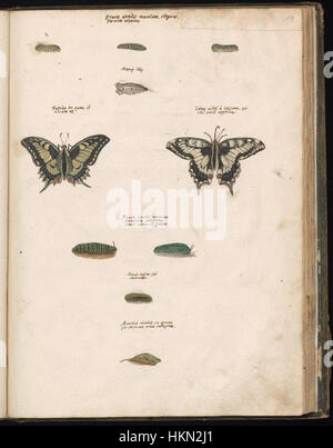 A collection of intricate sketches depicting various forms of marine ...