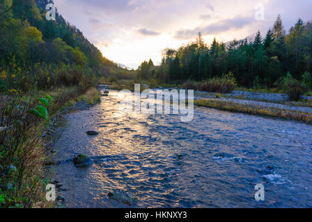 Austria, East Tyrol, Assling Stock Photo - Alamy