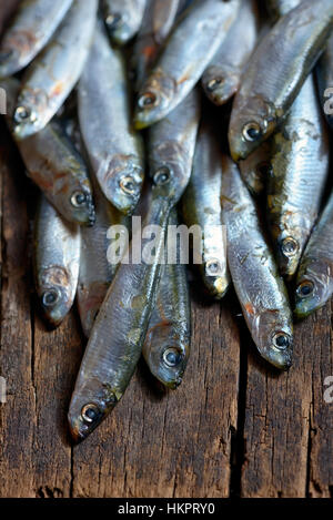 Fresh Turkish Hamsi on display in a Istanbul fish market, Hamsi is a ...