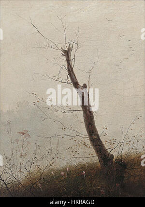 Solitary tree with autumn colors on a hill Stock Photo - Alamy