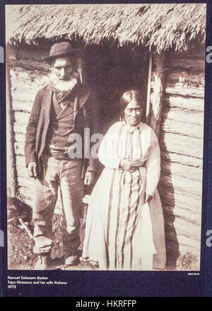 Chatham Islands photo, 1873 Stock Photo - Alamy