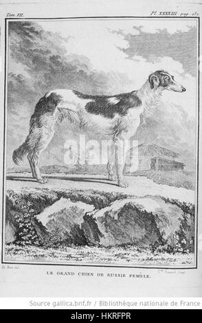 A detailed 18th-century work by Georges-Louis Le Rouge showcasing the ...