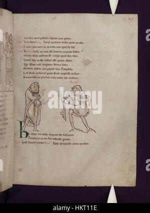 The 'Comedies of Terence' manuscript, preserved in the Bodleian ...