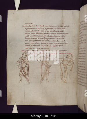 This page from the Bodleian Libraries shows a detailed illustration ...