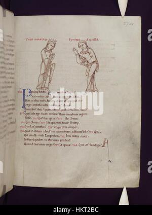 A rare manuscript page from *Comedies of Terence*, housed at the ...