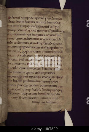 The Bodleian Libraries holds an important collection of works from ...