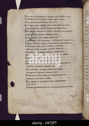 The Latin Gospels, held in the Bodleian Libraries, is a rare and ...