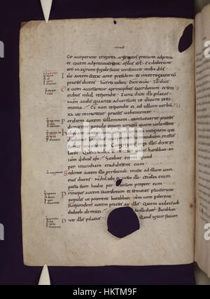 The Latin Gospels manuscript, held at the Bodleian Libraries, is a ...