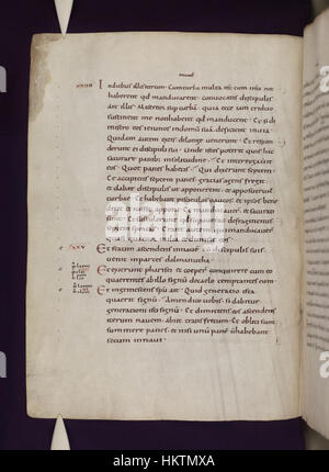 The Latin Gospels, housed in the Bodleian Libraries, is a medieval ...