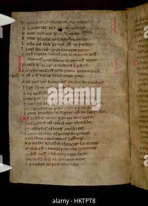 This 12th-century manuscript from the Bodleian Library features folio ...