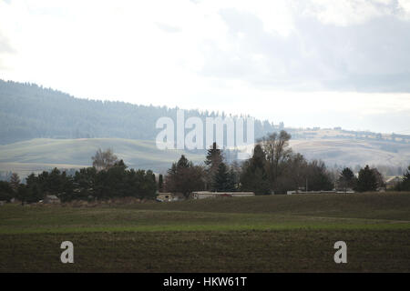 Moscow, Idaho, USA. 17th Nov, 2016. Moscow Idaho is home to the ...