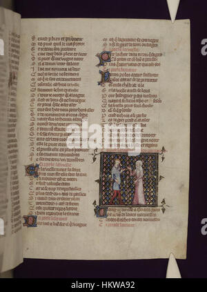 The manuscript page from 'Le Roman de la Rose' at the Bodleian ...