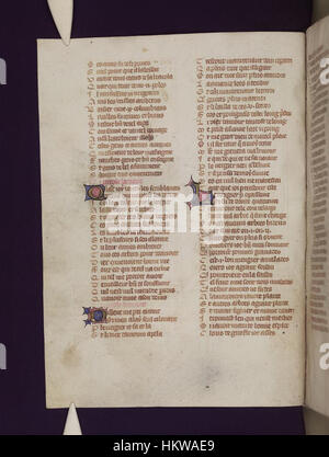 The manuscript 'Le Roman de la Rose,' housed in the Bodleian Libraries ...