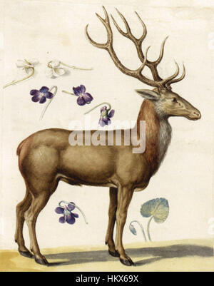 Giuseppe Arcimboldo was an Italian painter known for creating ...