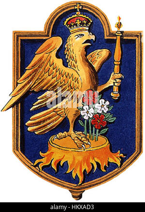 Coat of Arms King Henry VIII, mid-16th century, pubished by Johann ...