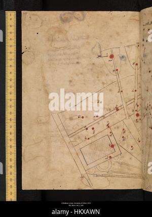 This artwork from the 'Book of the Fixed Stars' illustrates the Corvus ...