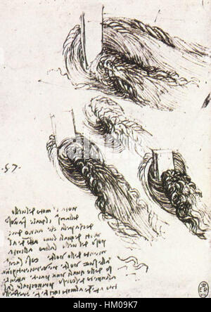 Leonardo da Vinci's studies of water focus on his observations of fluid ...
