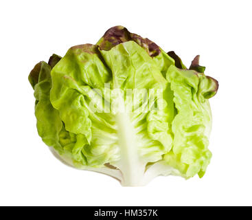 Fresh green salad lettuce on a field Stock Photo - Alamy