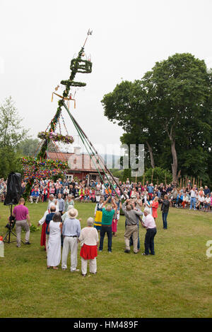 MIDSUMMER CELEBRATION when the Maypole is raised by the celebration ...