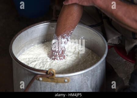 Sheep's cheese making Stock Photo - Alamy