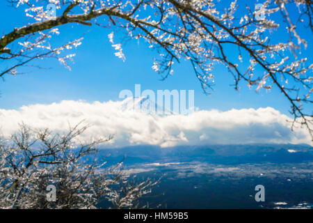 Mountain Fuji with ice coating on the trees Stock Photo - Alamy
