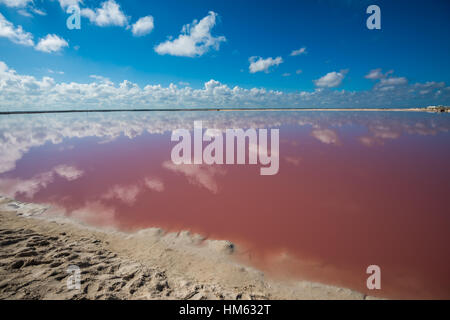 Salt pink lagoon in Las Coloradas, Yucatan, Mexico Stock Photo - Alamy