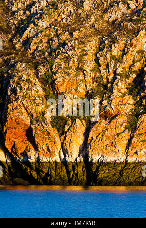 The hide tide mark and cyanobacteria stain on a sandstone cliff above ...