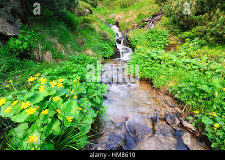 Ukraine, Ivano Frankivsk region, Verkhovyna district, Dzembronya ...