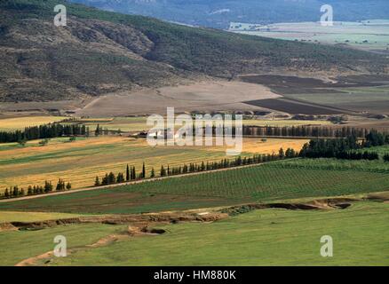 Agricultural landscape near Frenda, Algeria Stock Photo - Alamy