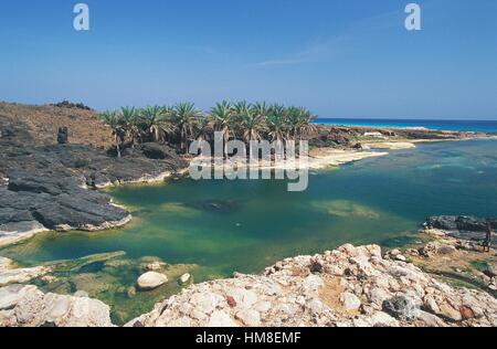 Coastline, Hadibu, island of Socotra, Yemen Stock Photo: 77128861 - Alamy