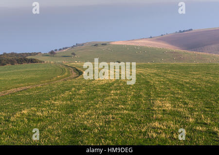A View across the grassy downland at Ditchling Beacon looking West to ...